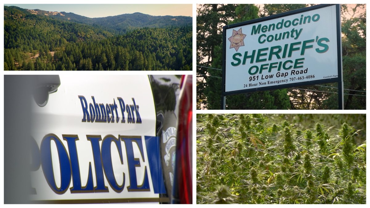‘A Gang With Badges’: California Cannabis Growers Accuse Police of ...
