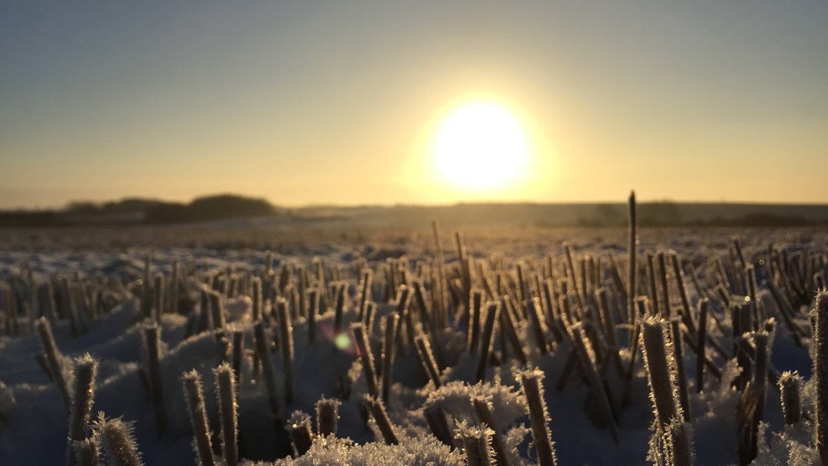 Winter Solstice 2021: What to Know About the First Day of Winter ...