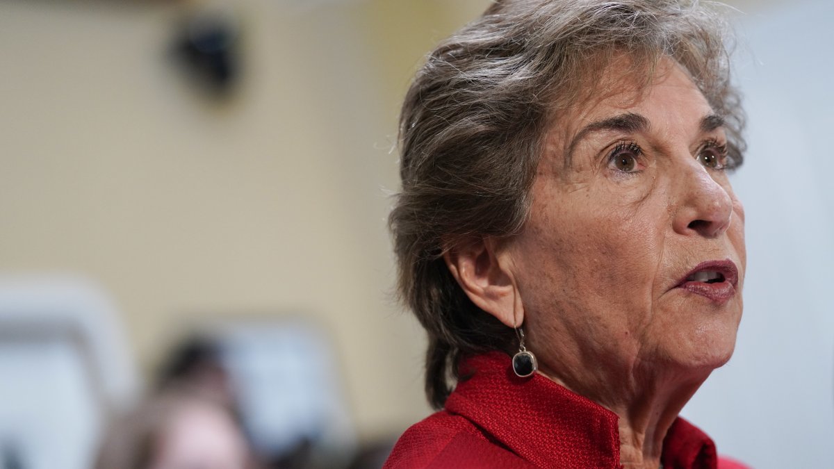 Illinois Primary Election 2022: Rep. Schakowsky, Rice Win Spots in 9th ...