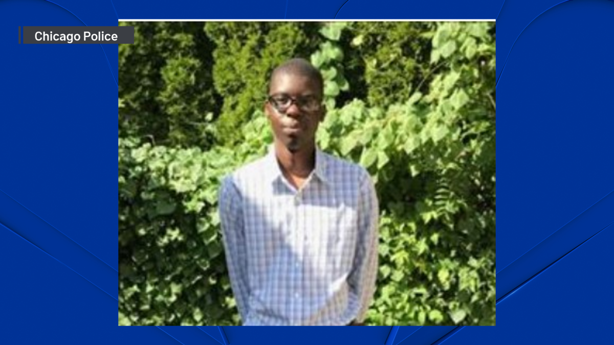 Missing Chicago Man Last Seen Walking Toward North Avenue Beach on ...