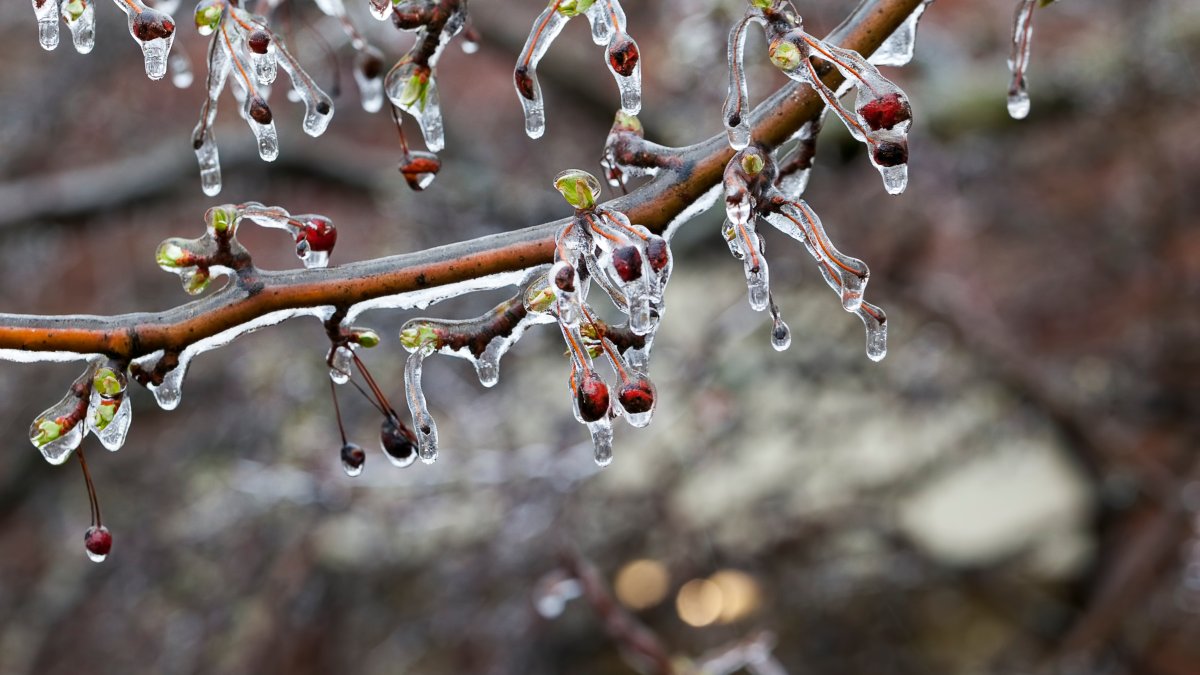 Freezing Rain, Drizzle Could Lead to Slick Road Conditions in Chicago ...