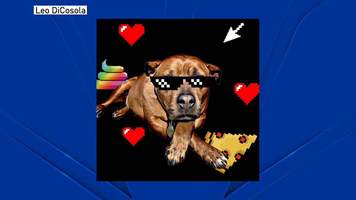 Chicago Boy Creates NFT Images of Adopted Pup – NBC Chicago