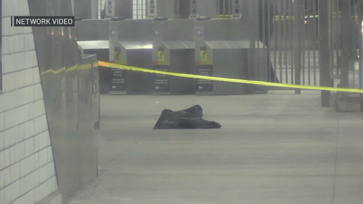 No Bail For Cta Worker Accused Of Shooting Intoxicated Man At Red Line