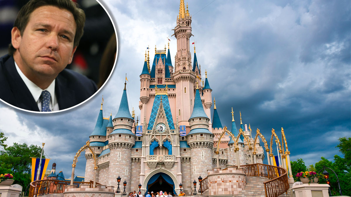 Disney Fans Are Fighting Online in Response to the Company’s Lawsuit ...