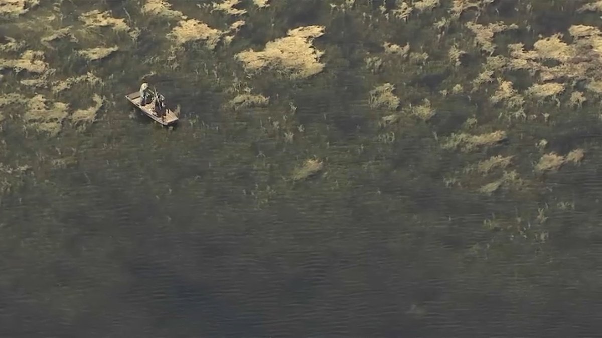 Florida Man Found Dead in Gator-Filled Lake Near Disc Golf Course ...