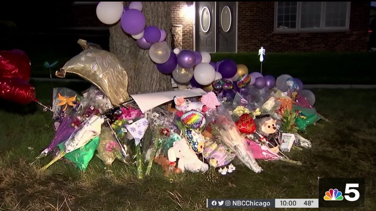 Court Documents Reveal Horrific New Details in Murder of Tinley Park ...