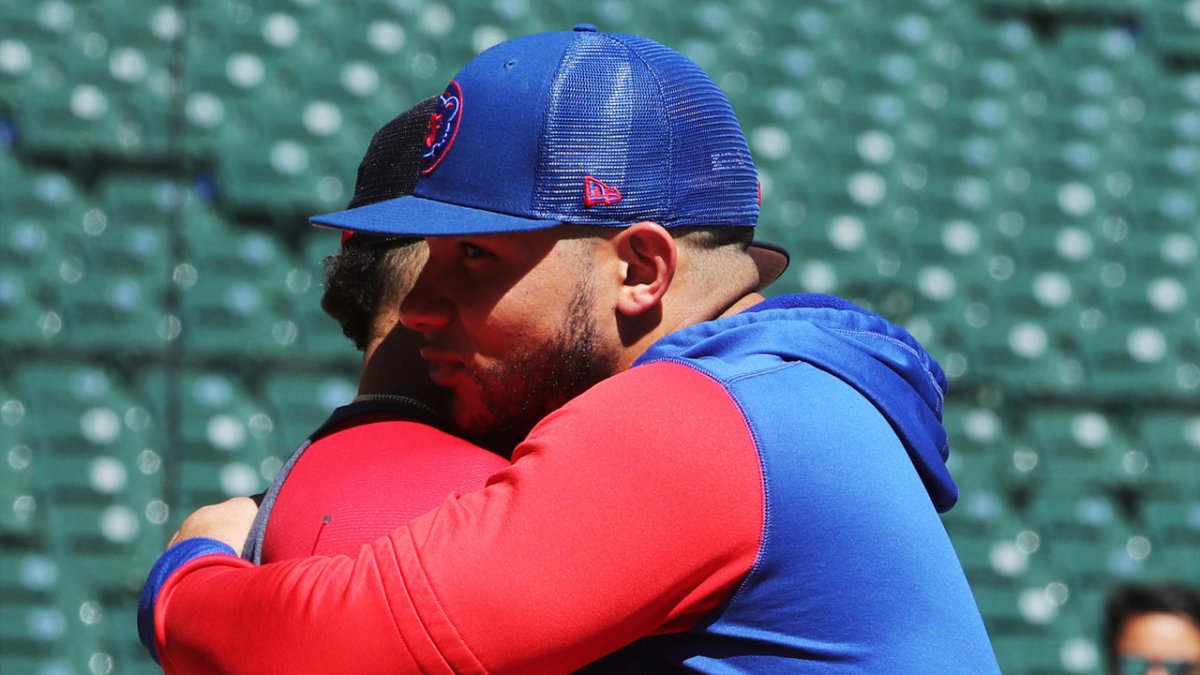 Cubs’ Willson Contreras, Brother William’s Dream Matchup ‘Priceless ...