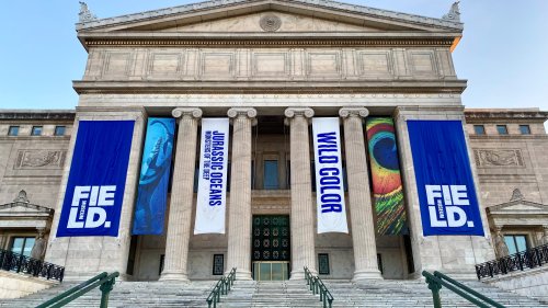 Chicago free museum days February 2025 – NBC Chicago