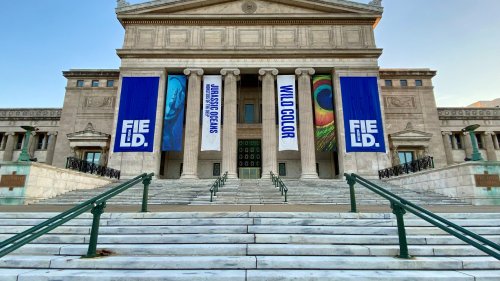Chicago free museum days 2024: November, December – NBC Chicago