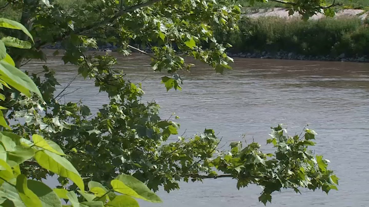 Child Died of Brain Amoeba After Swimming in Nebraska River: CDC – NBC ...