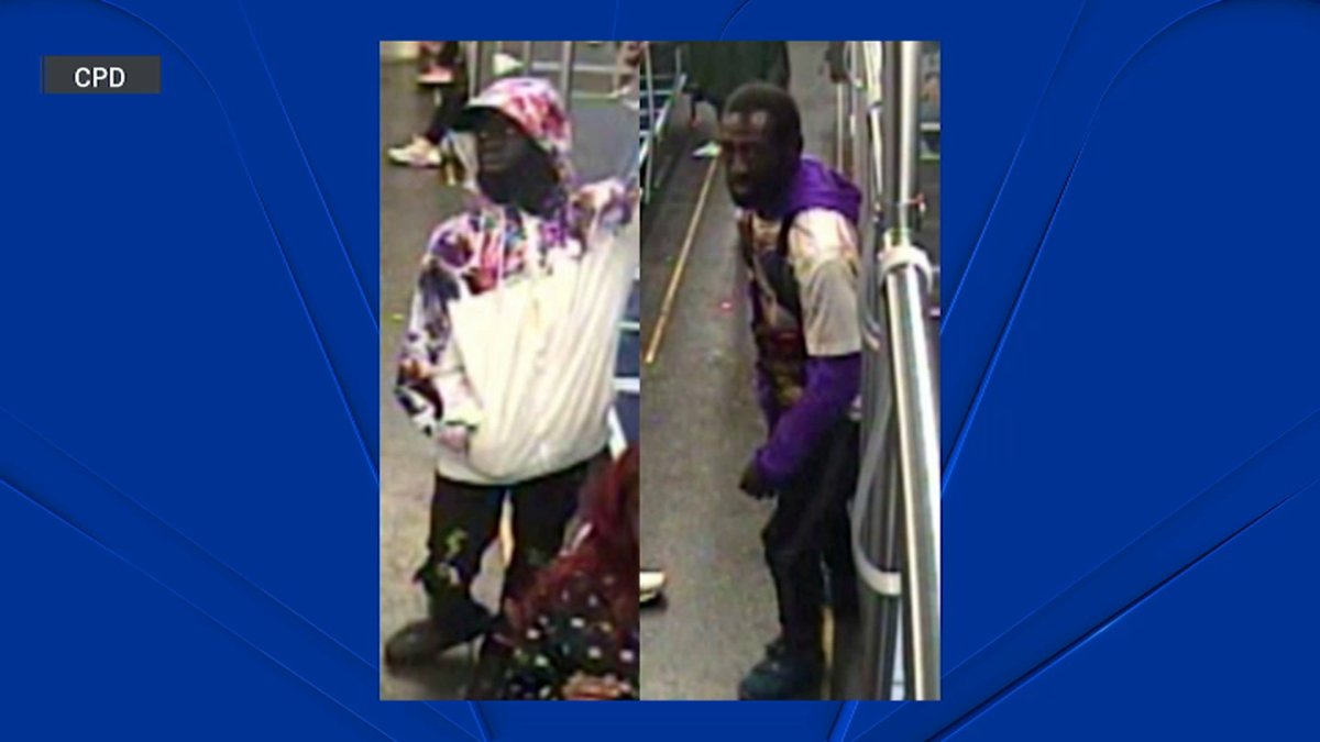 Suspect Charged in Violent CTA Red Line Robbery Ordered to Remain in ...