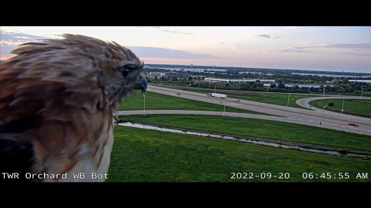 Watch: Hawk Takes a Live Look at the Roads on I-88 During NBC 5 Morning ...