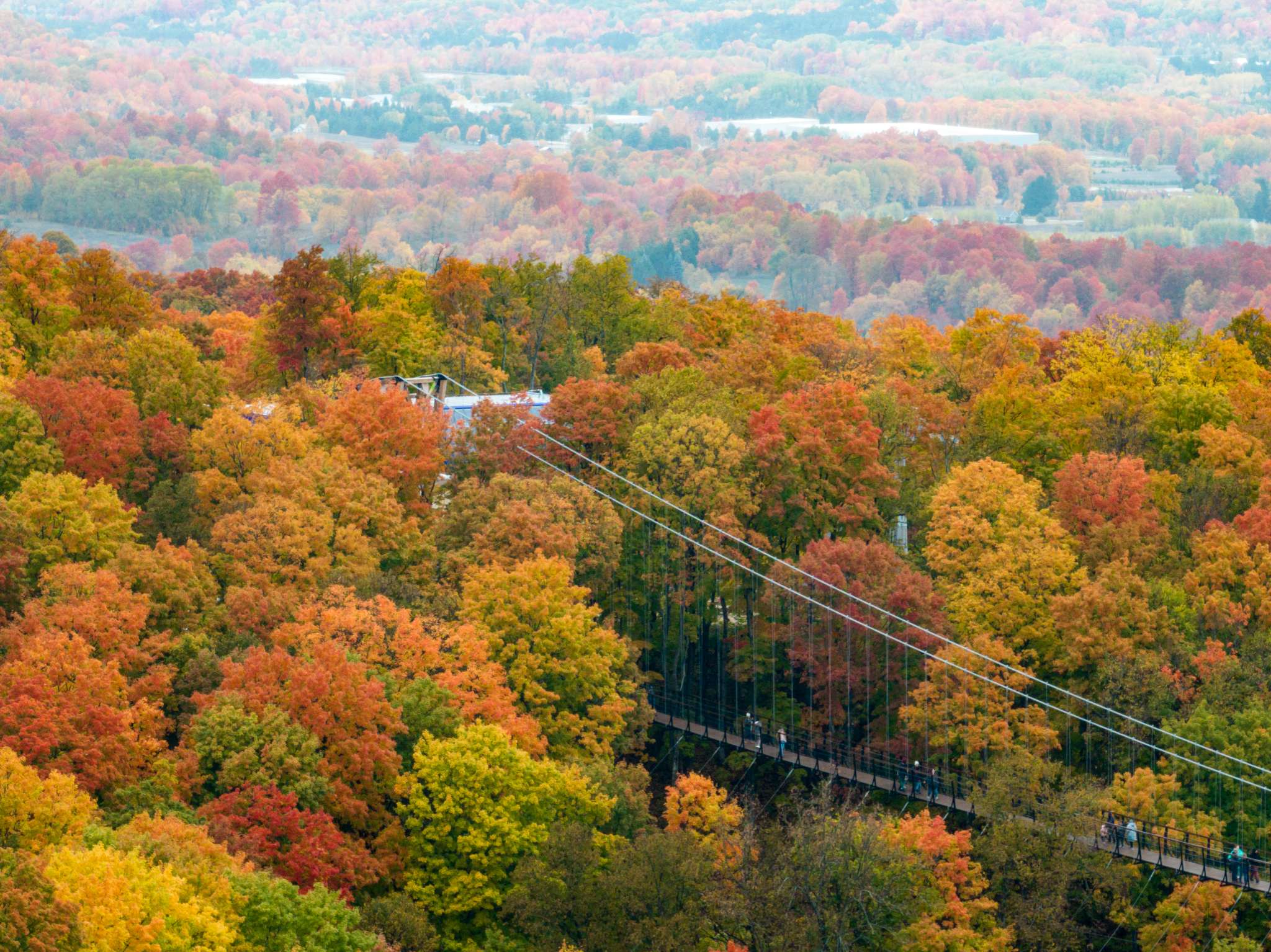 World’s Longest Timber-Towered Suspension Bridge Opens to Public – NBC ...