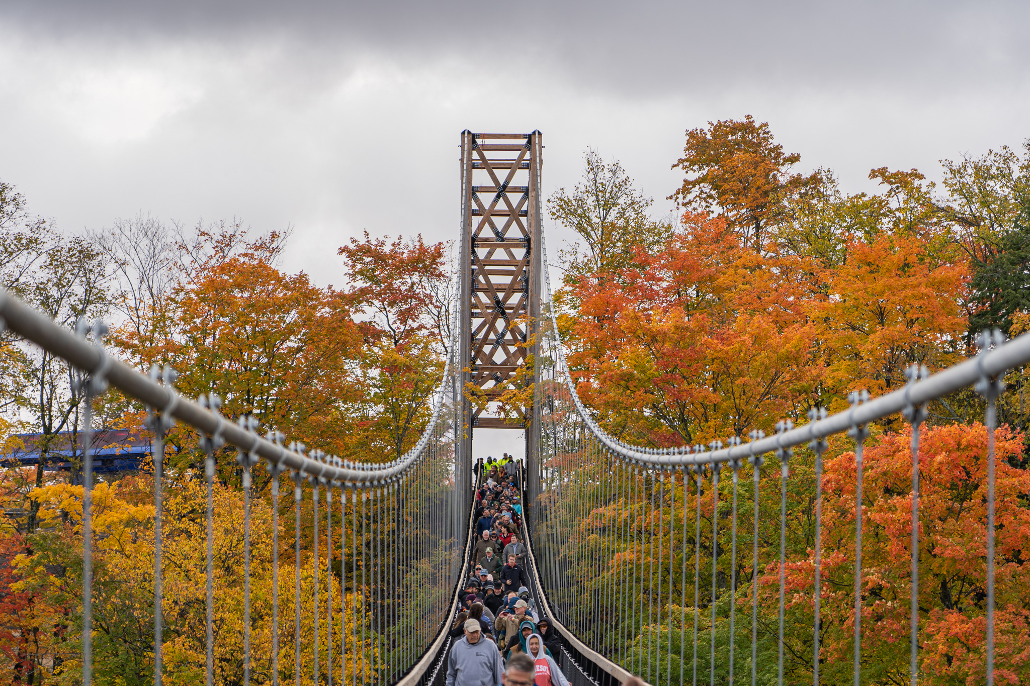 World’s Longest Timber-Towered Suspension Bridge Opens to Public – NBC ...
