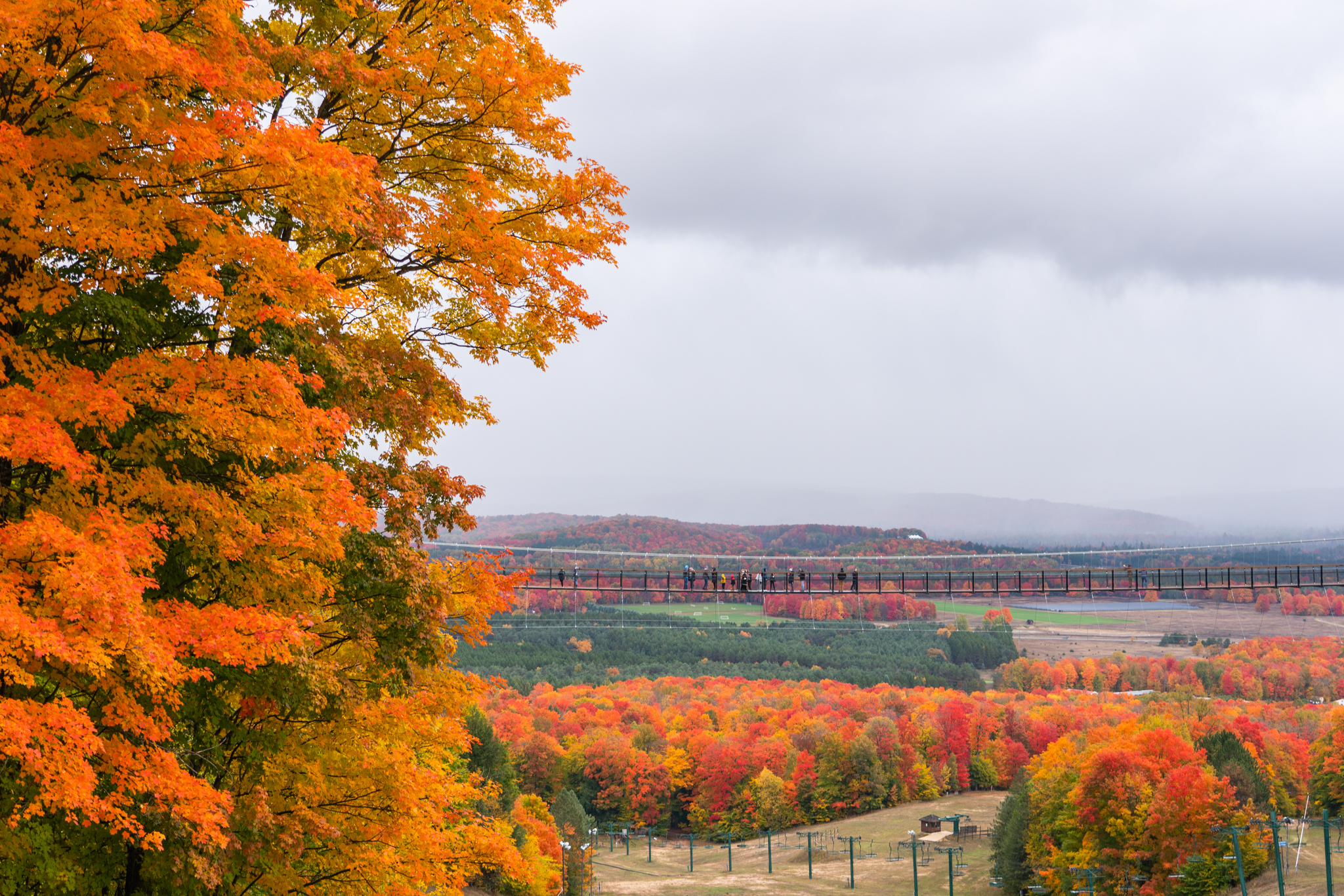 World’s Longest Timber-Towered Suspension Bridge Opens to Public – NBC ...