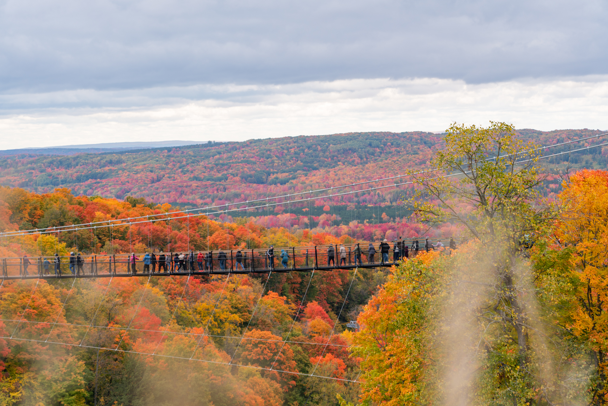 World’s Longest Timber-Towered Suspension Bridge Opens to Public – NBC ...
