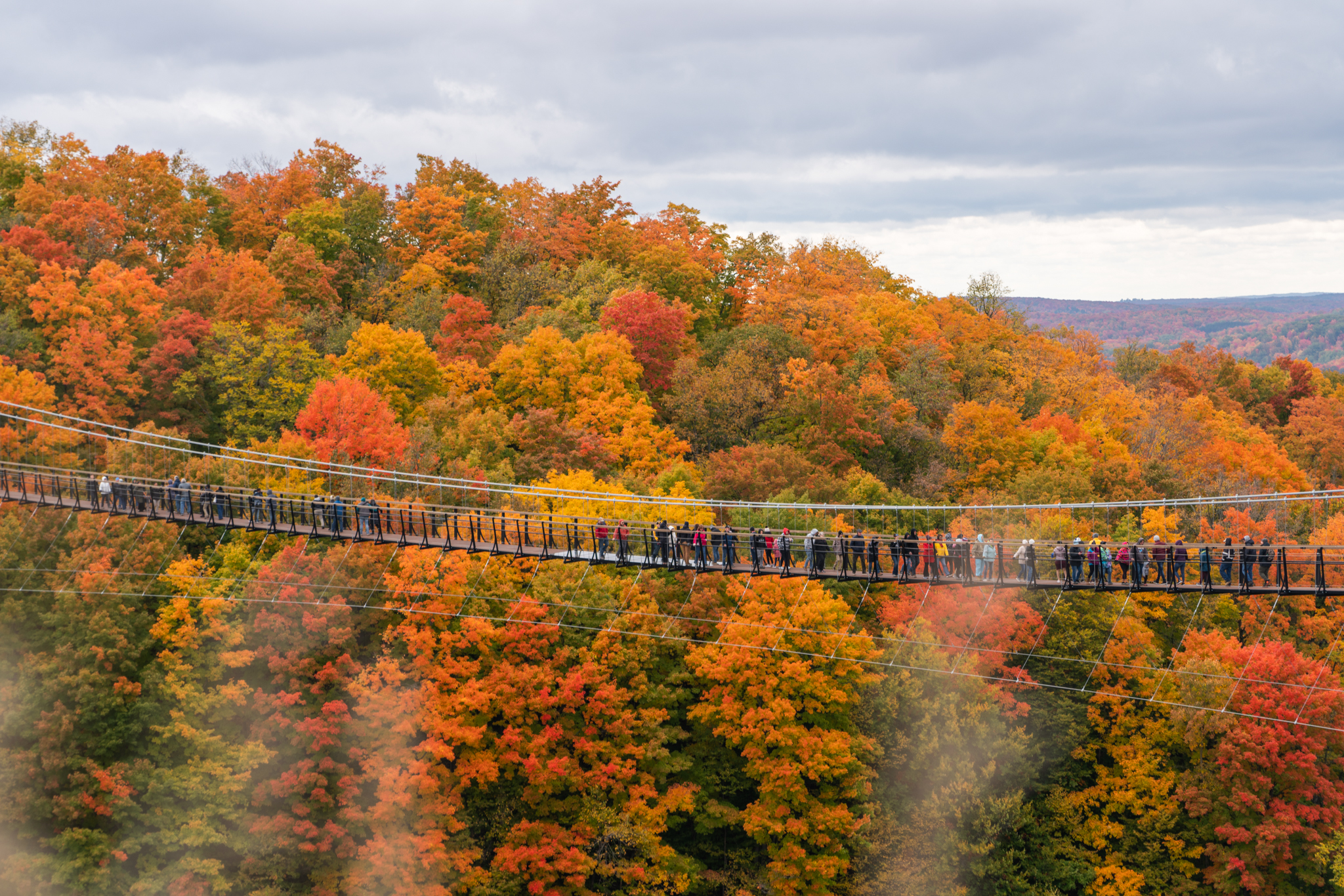 World’s Longest Timber-Towered Suspension Bridge Opens to Public – NBC ...