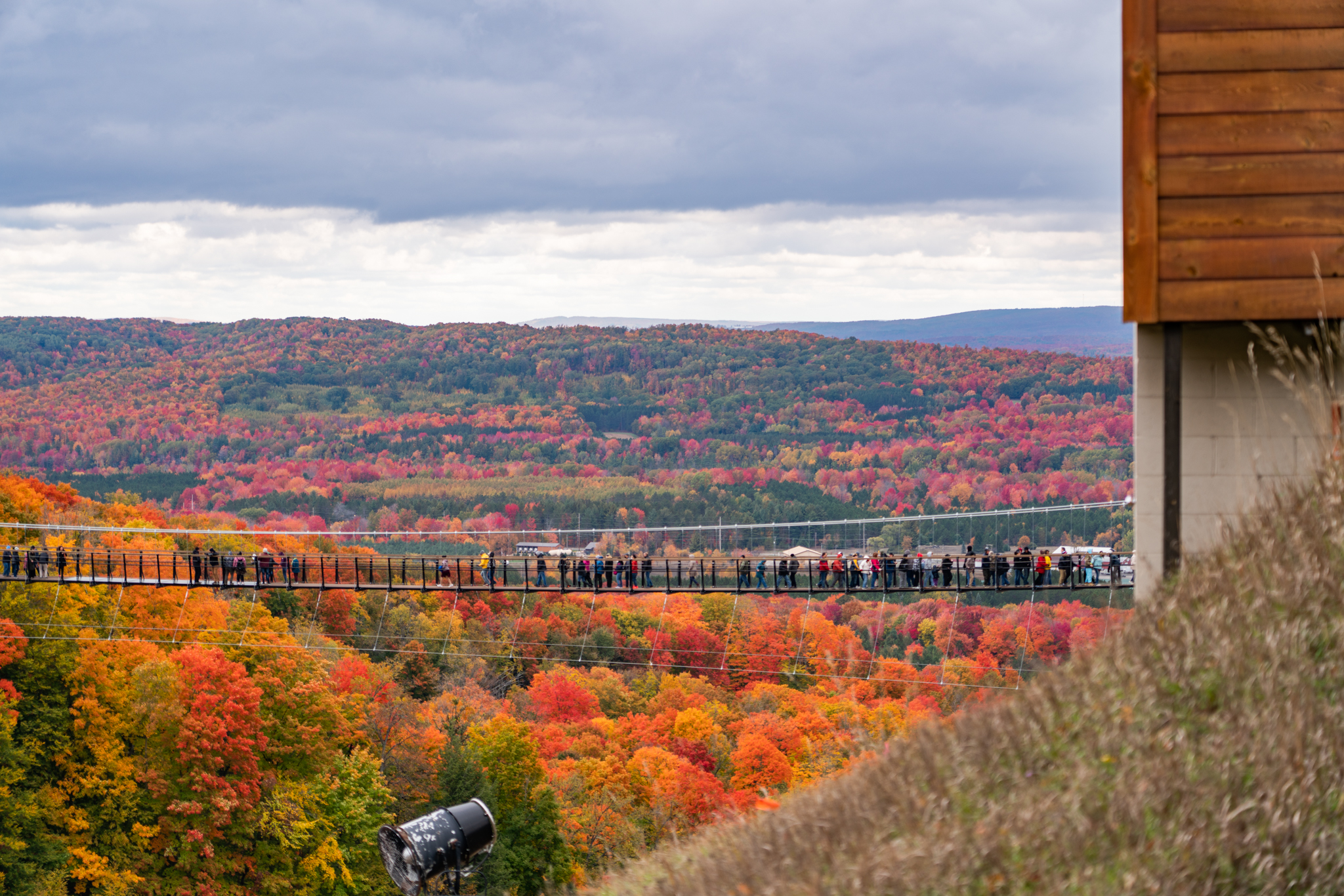 World’s Longest Timber-Towered Suspension Bridge Opens to Public – NBC ...