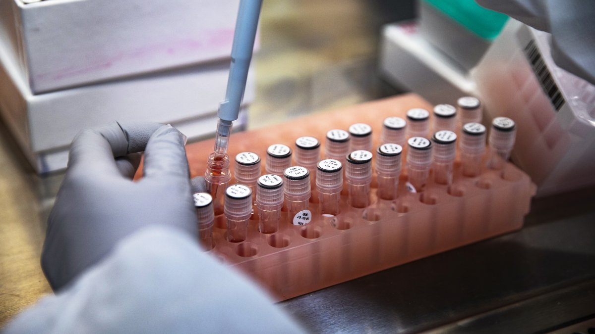 New COVID Variants Emerging ‘More Quickly’ Now. Here’s What That ...