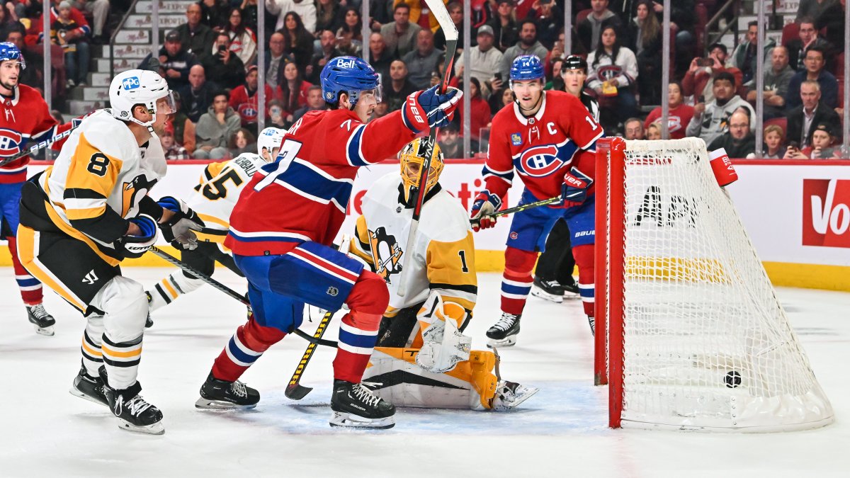 NHL, Its Workforce 84% White, Sets Baseline to up Diversity – NBC Chicago