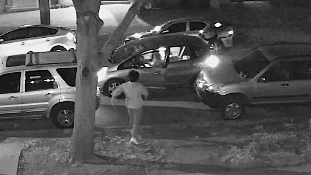 Video Captures Moment Of Carjacking In North Park While Victim Unloads