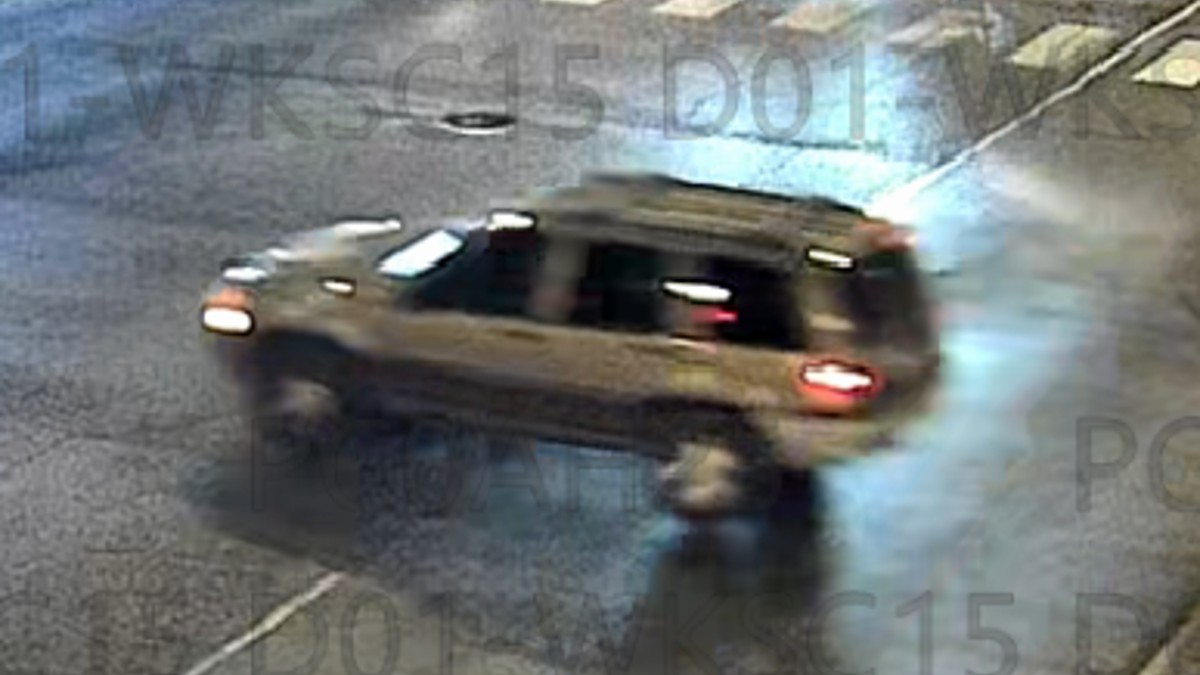 Chicago Police Search for Driver Who Hit, Killed Woman in Crosswalk ...