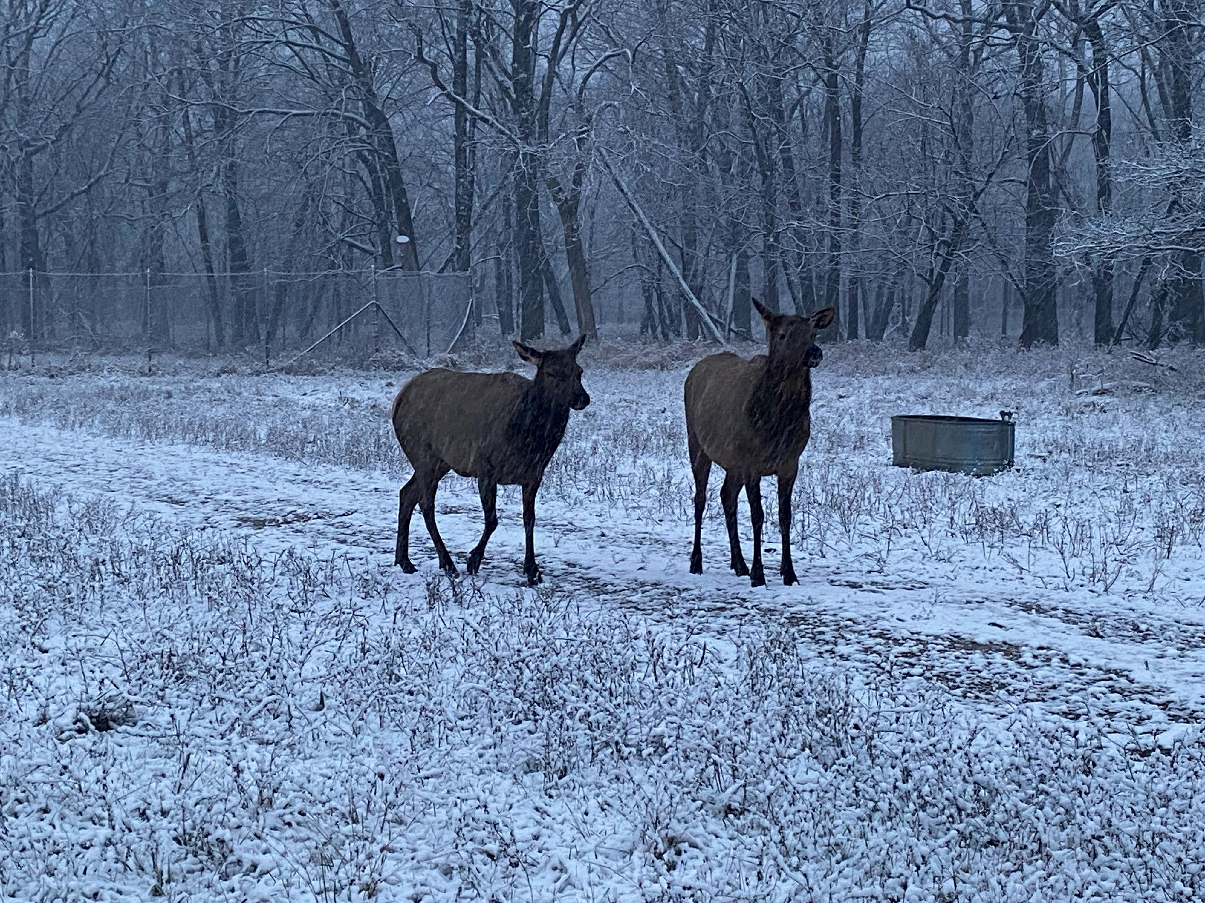 Snow Accumulation Totals Across Chicago, Suburbs For Tuesday – NBC Chicago