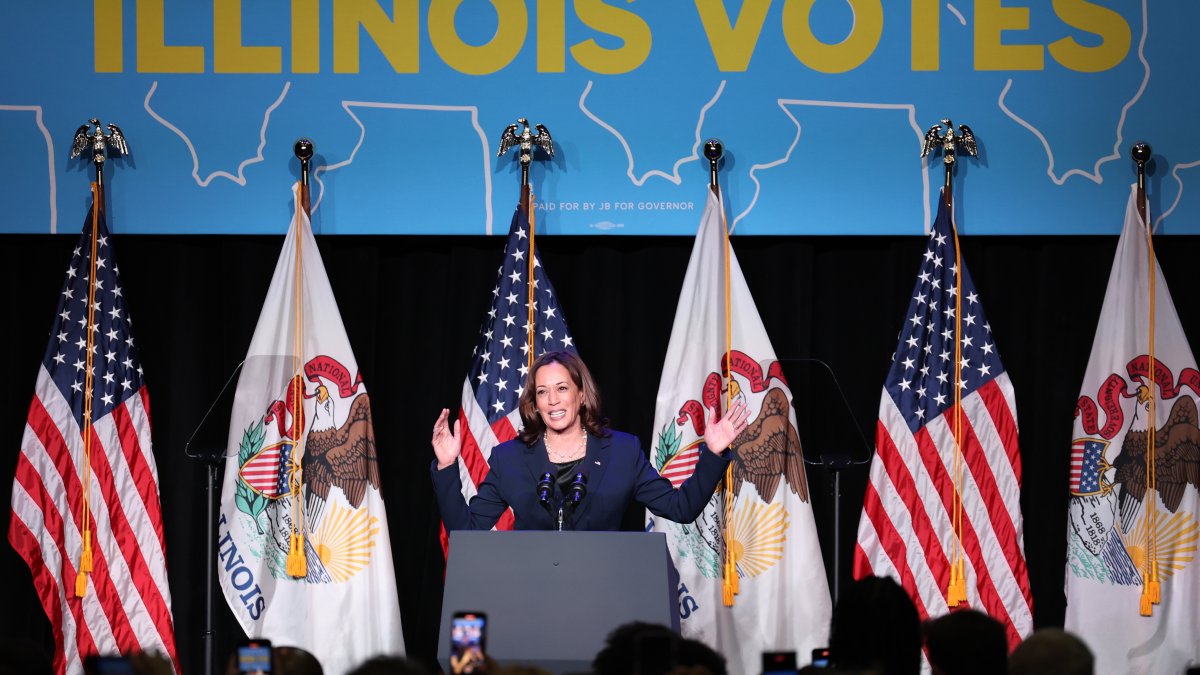 In Final Push, VP Harris Frames Election as Fight For Democracy ...