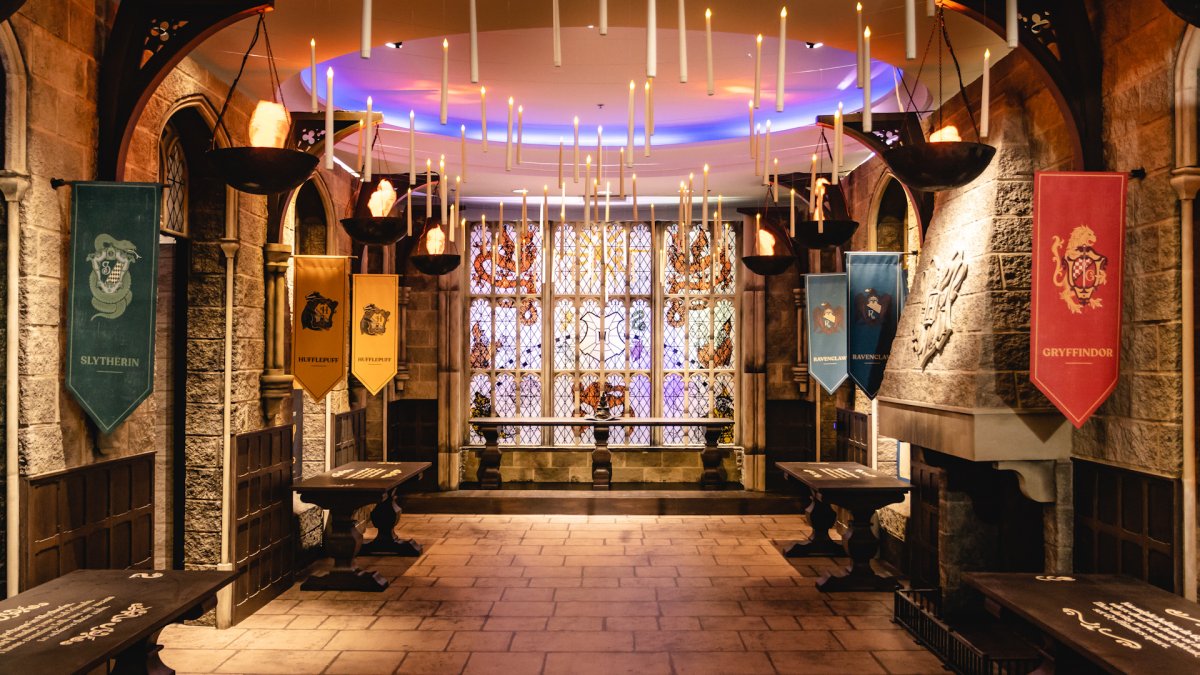 ‘Harry Potter: Magic at Play’ Opens Friday at Chicago’s Mag Mile – NBC ...