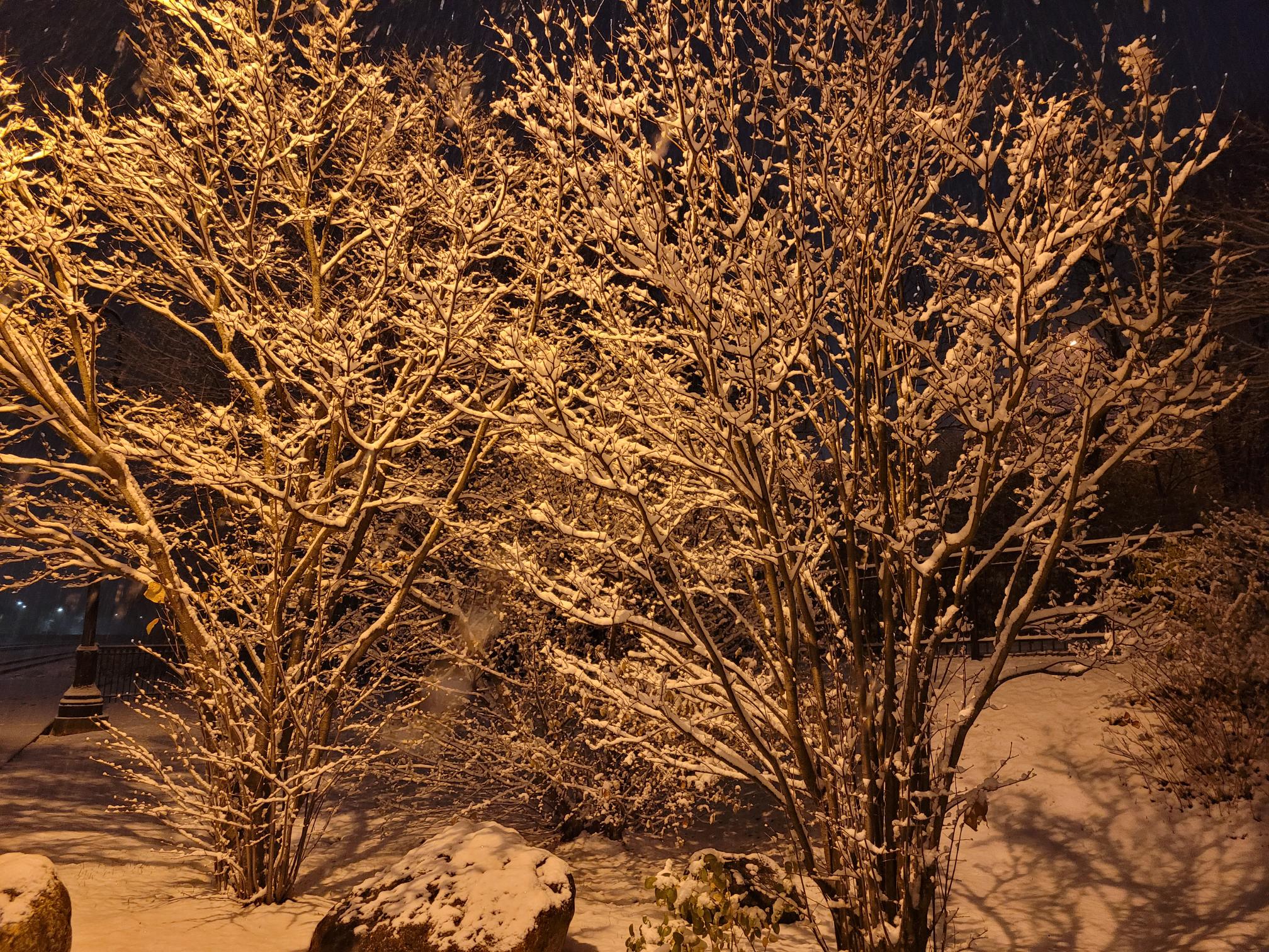 Photos: From Lisle to Gurnee, Here’s What The First Snow Across the ...
