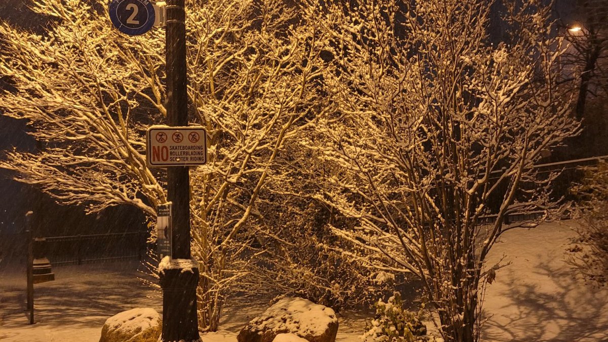 Photos: From Lisle to Gurnee, Here’s What The First Snow Across the ...