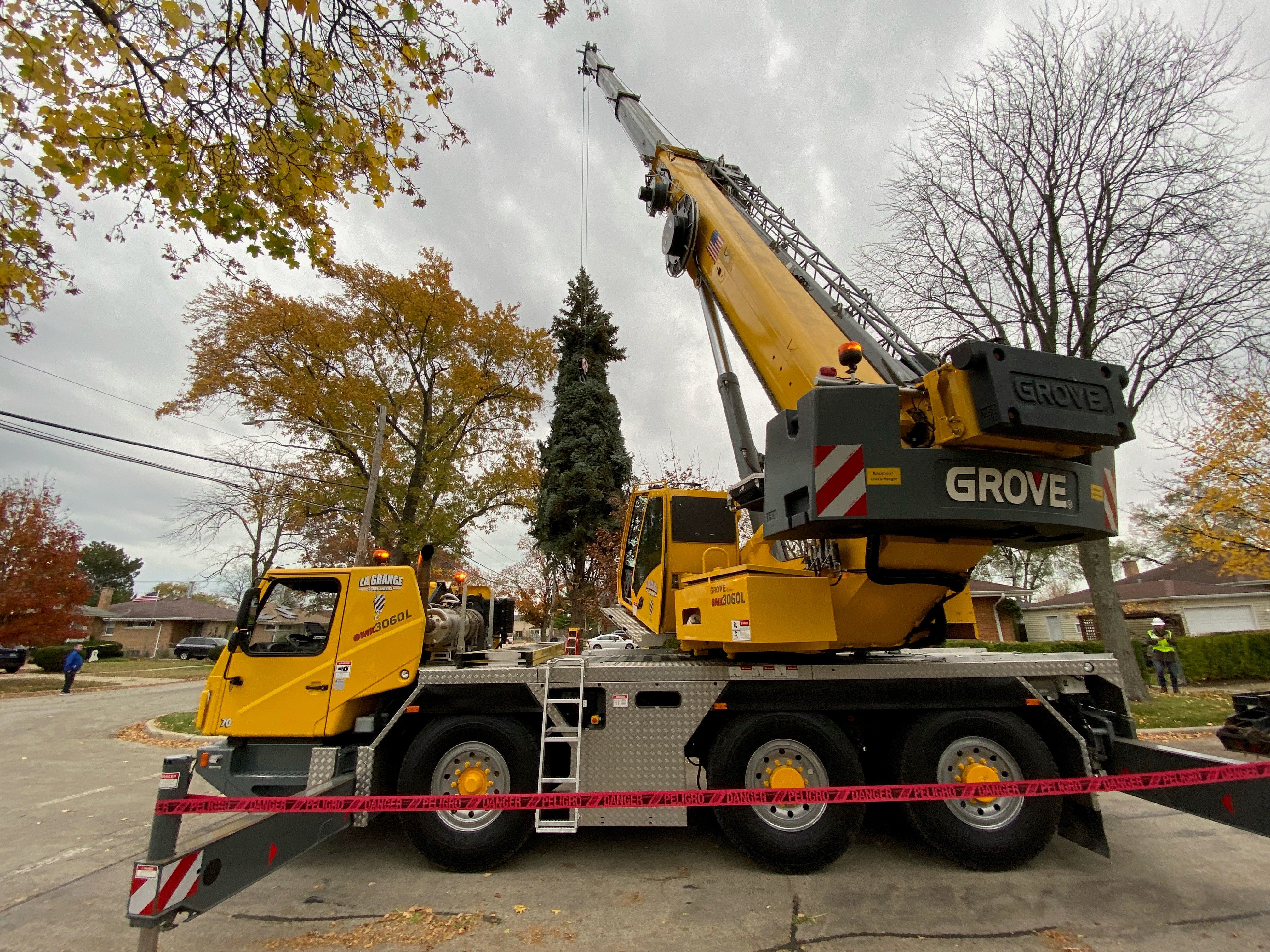 Chicago’s ‘Official’ Christmas Tree From Morton Grove Beat Out 80 Other ...