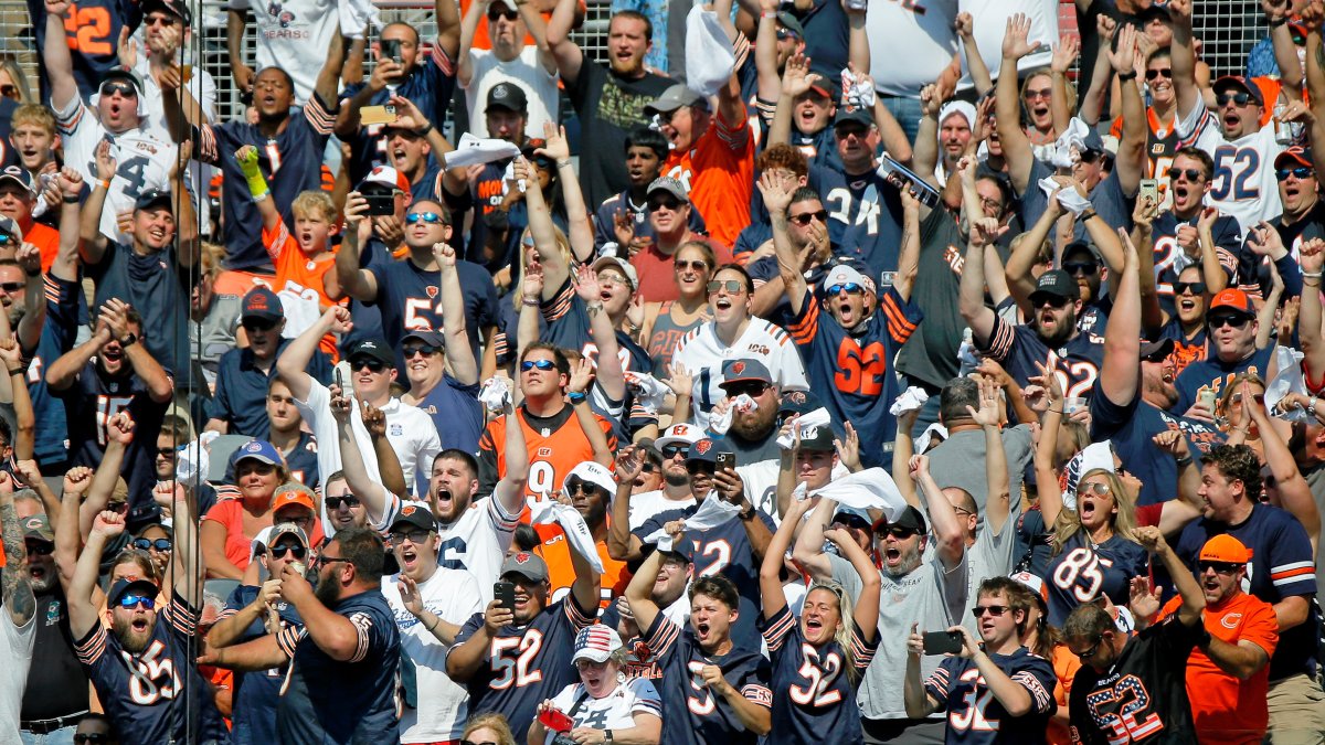 Bears poll season ticket holders on proposed seats for new stadium ...