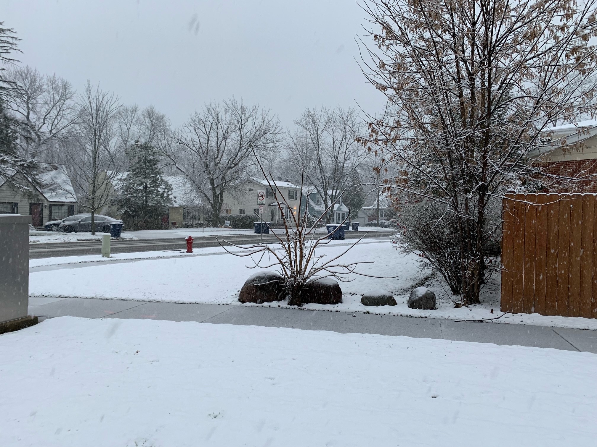 Photos: From Lisle to Gurnee, Here’s What The First Snow Across the ...