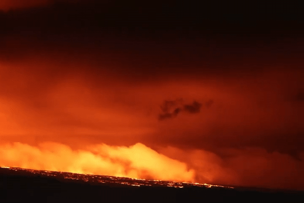 World’s Largest Active Volcano, Mauna Loa, Erupts in Hawaii – NBC Chicago