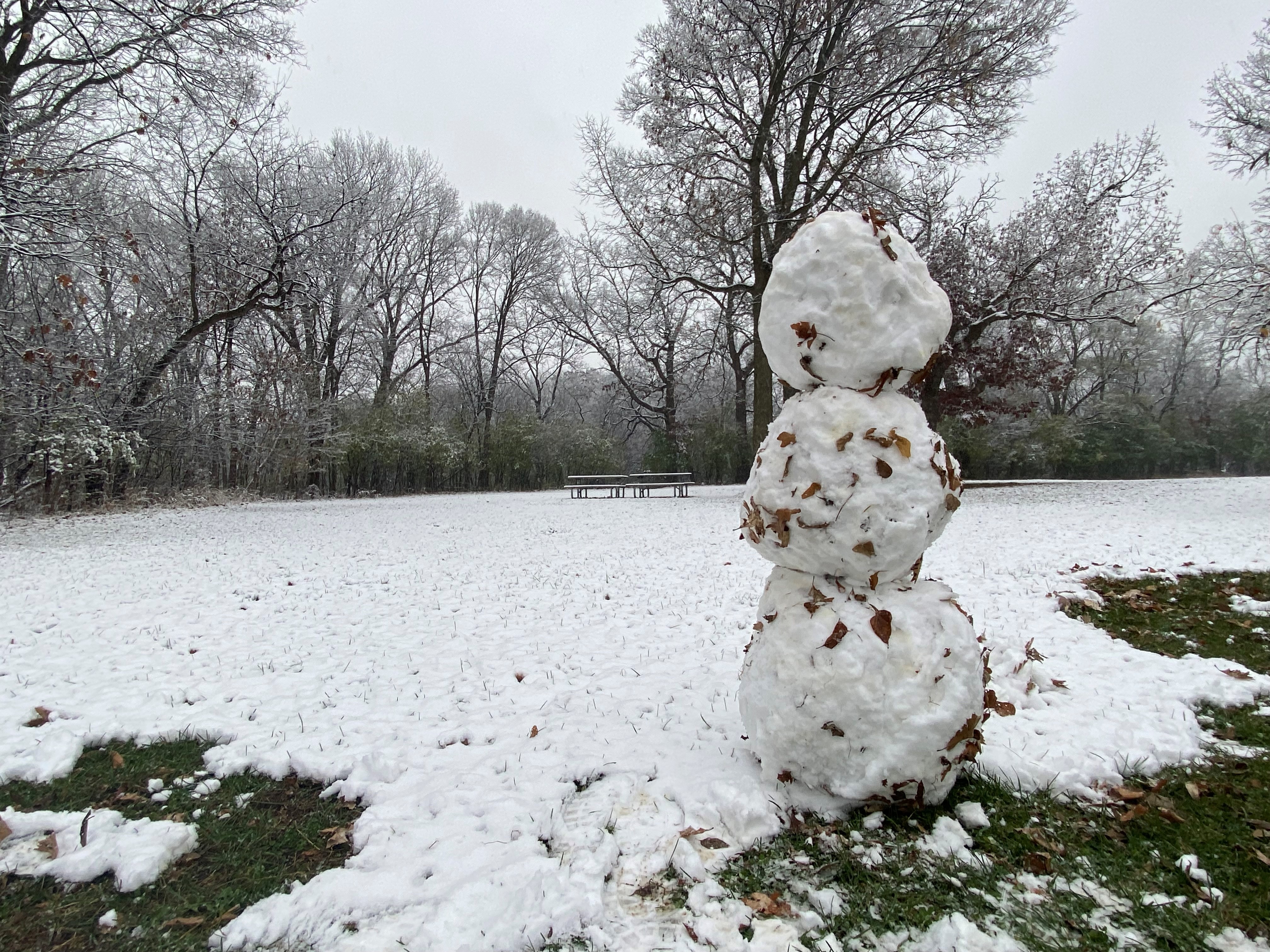 Photos: From Lisle to Gurnee, Here’s What The First Snow Across the ...