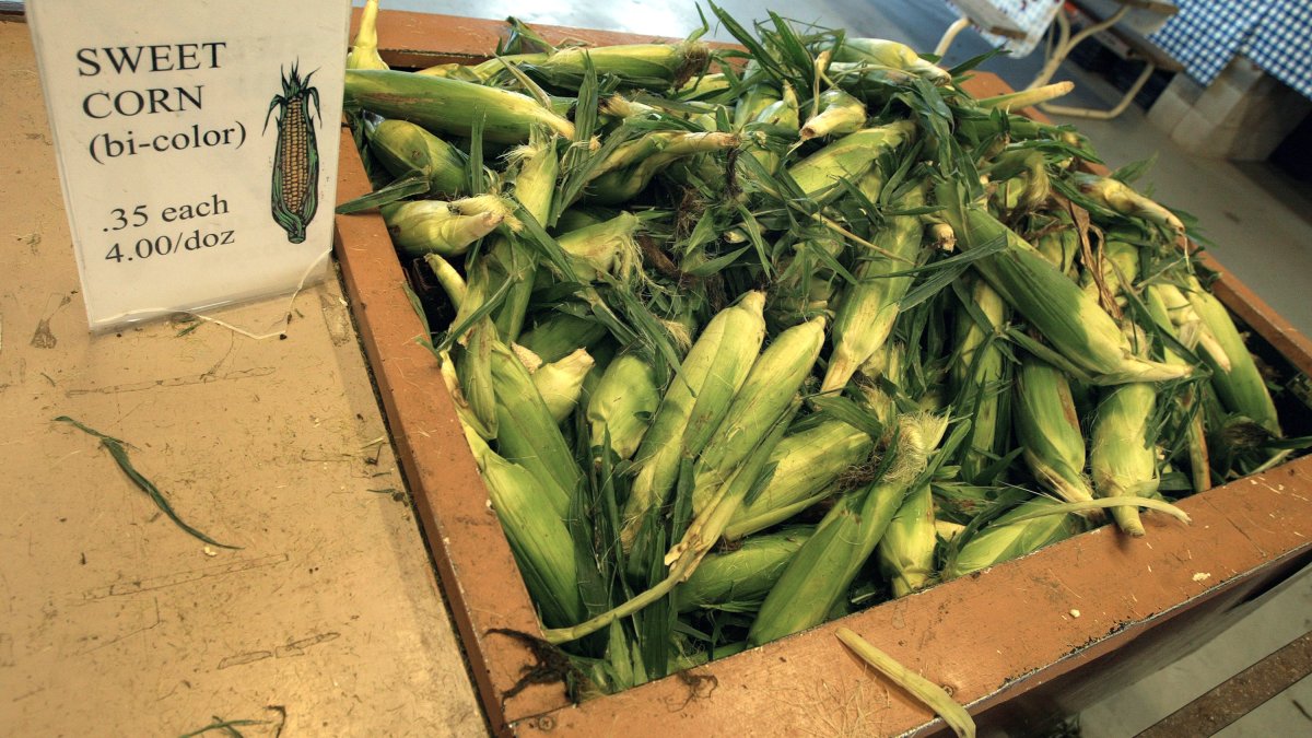 From a State Snake to Sweet Corn Appreciation Day, Illinois Will Soon ...
