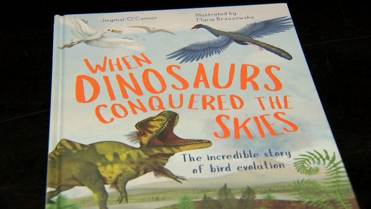 Field Museum Paleontologist Shares Dinosaur Knowledge With New Children ...