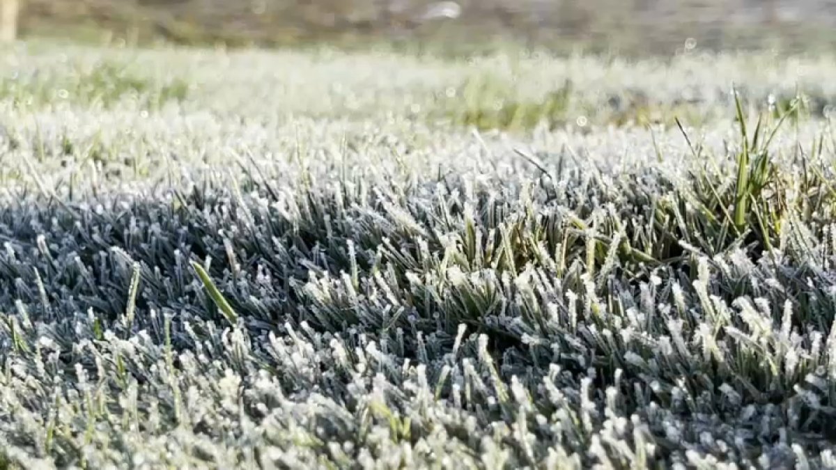 Freeze Warnings Issued Ahead of Another Cold Night in the Chicago Area ...