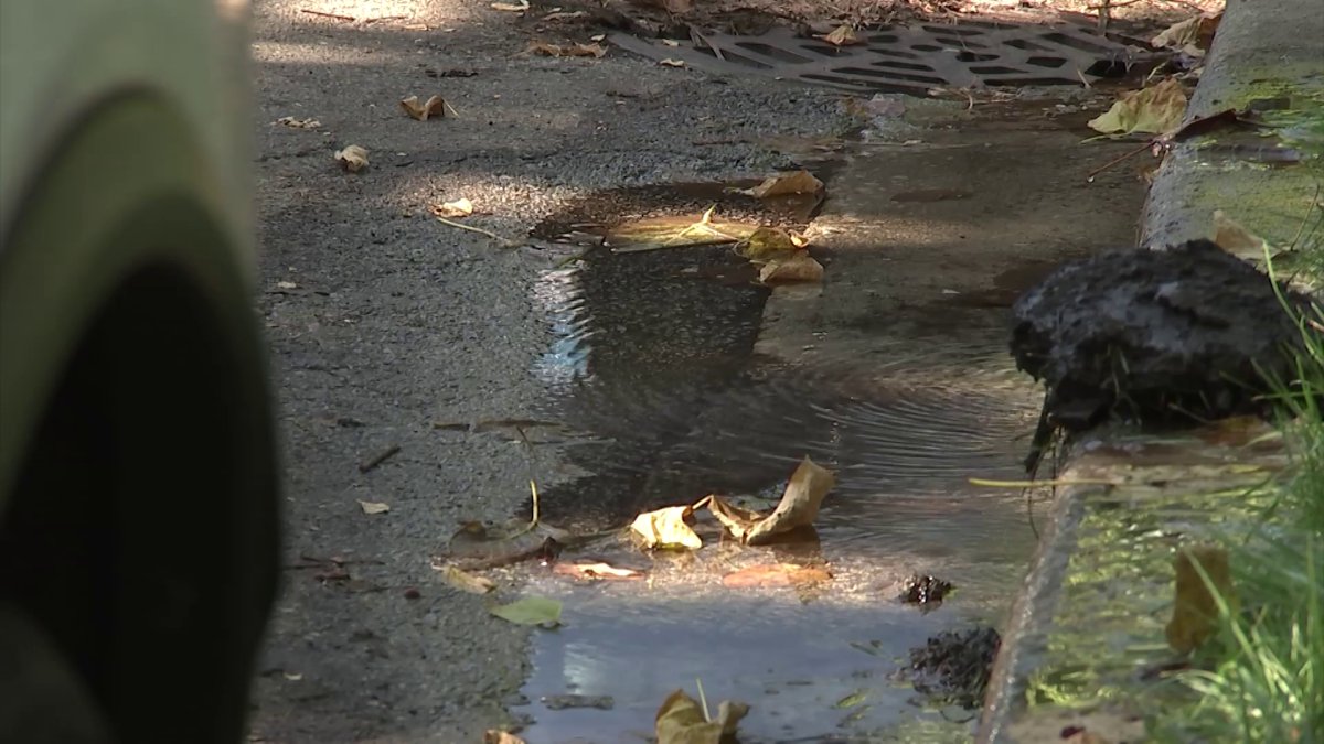 311 Calling Concerns: Water Leaks and City Calls For Service Initially ...