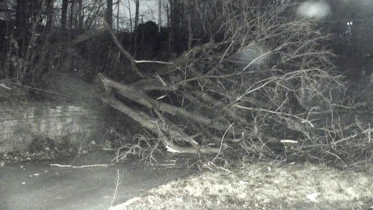 It’s Windy, Chicago. But How Windy? Take a Look at Peak Wind Gusts So ...