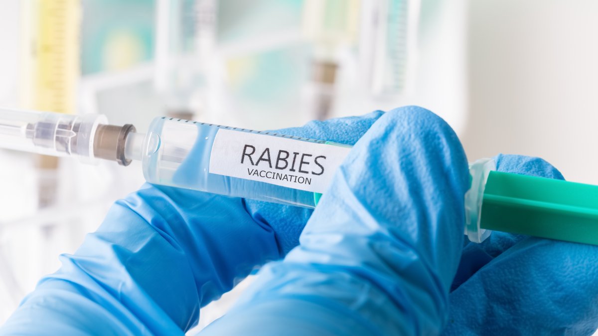 Minnesota reports rare human death from rabies – NBC Chicago