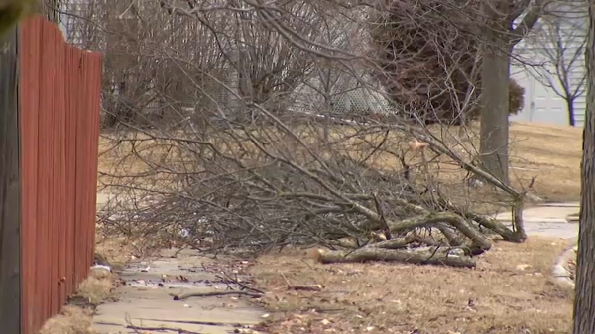 Fierce Storms Damage Homes, Uproot Trees in Chicago Suburbs – NBC Chicago