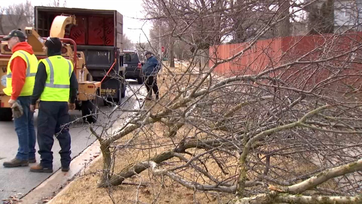 NWS Confirms Tornadoes Touched Down in Joliet, Naperville Monday – NBC ... NWS Confirms Tornadoes Touched Down in Joliet, Naperville Monday – NBC ...