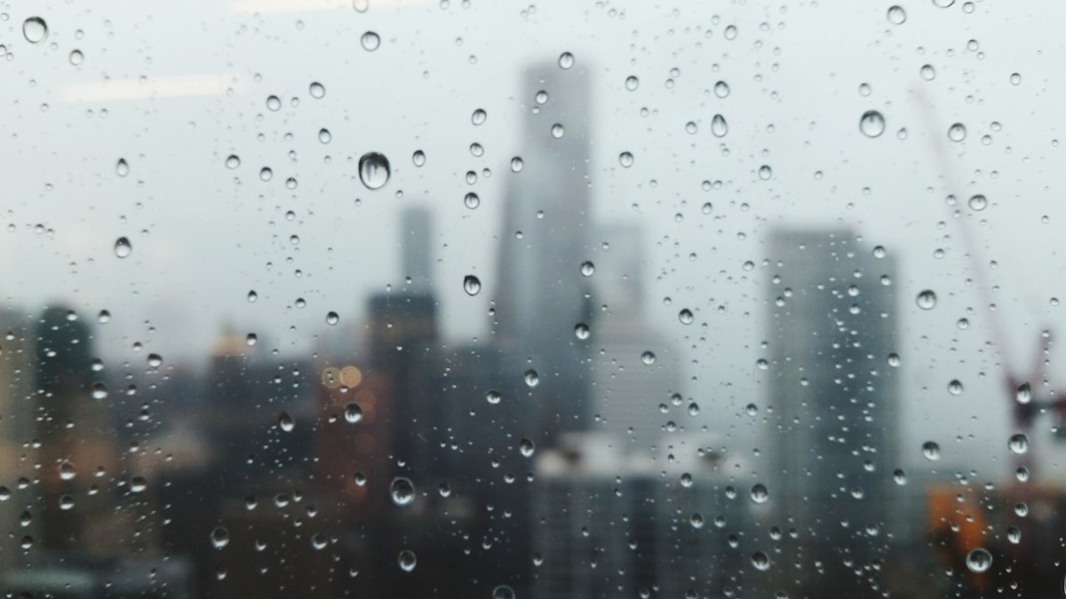 Live Radar: Track Heavy Rain, Storms as Wet Weather Moves Through ...