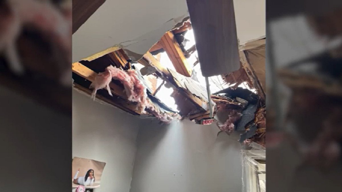 ‘Just Horrifying’: Bricks From Vacant Building Crash Into Family’s ...