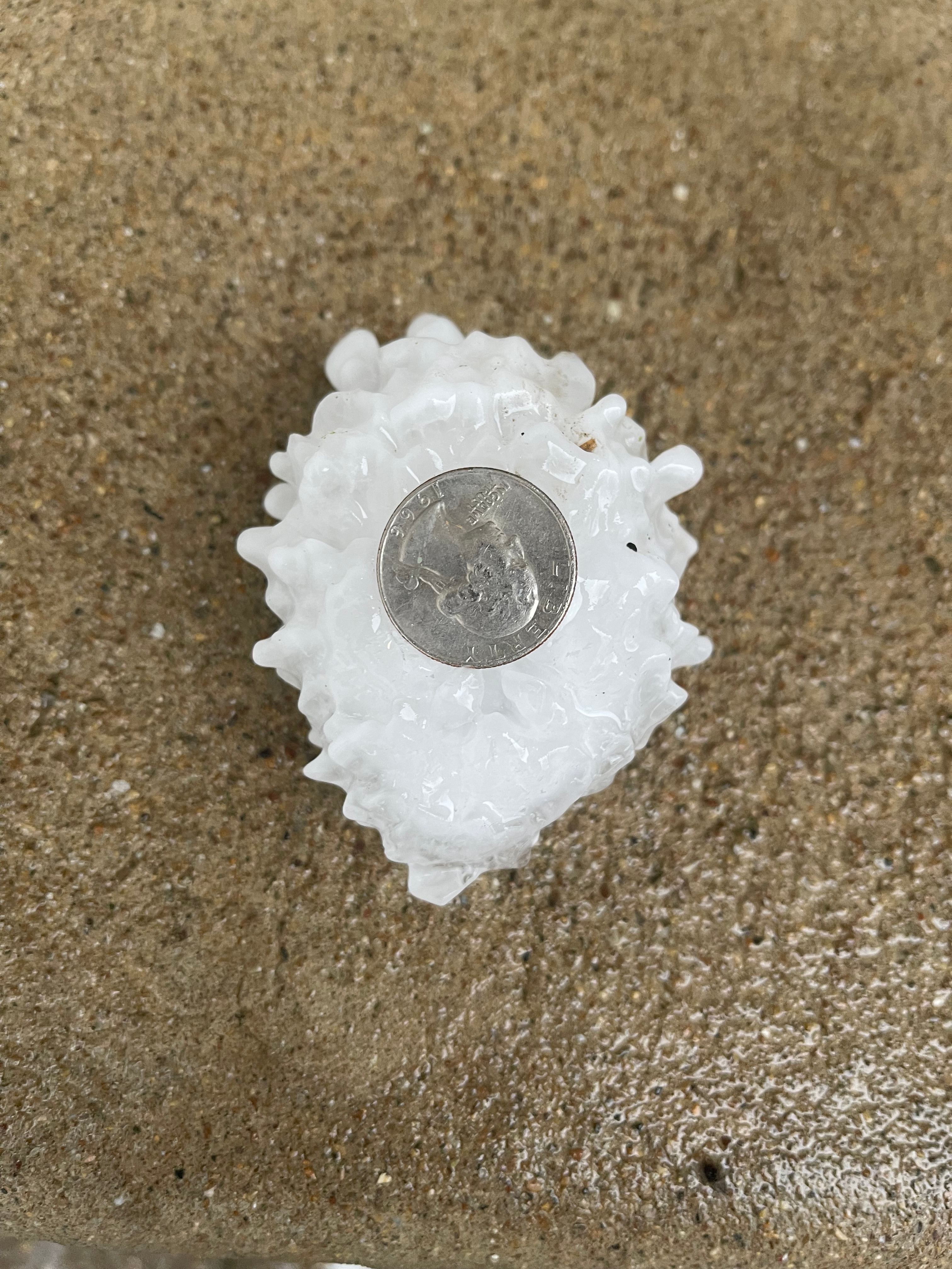 Images Show Massive Hail Spotted Across Chicago Area as Storms Erupt ...
