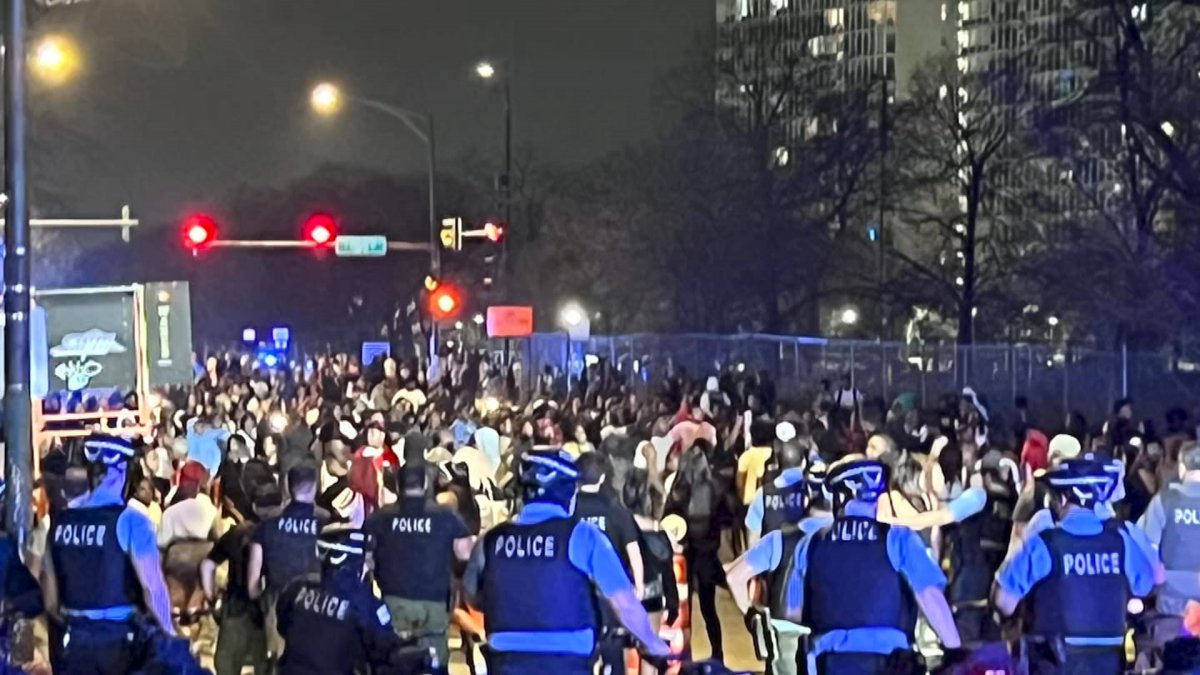 Chicago Police To Reinstate Teen Curfew at Millennium Park Following ...