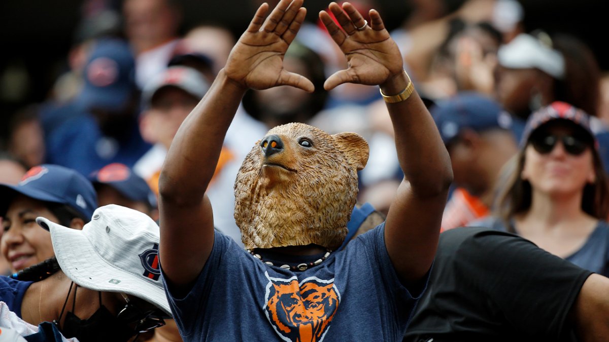 CHICAGO - New Chicago Bears Stadium (65,000) | Page 9 | SkyscraperCity ...