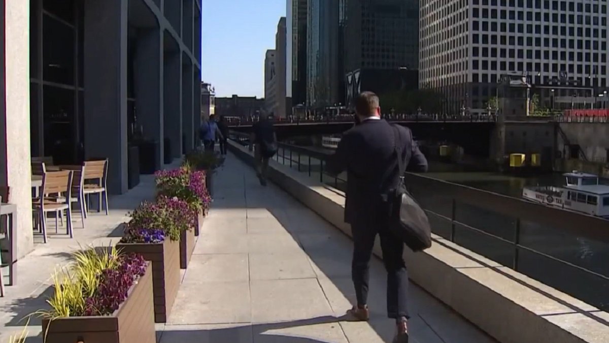 Several Chicagoans Attacked by Peregrine Falcon in Loop – NBC Chicago